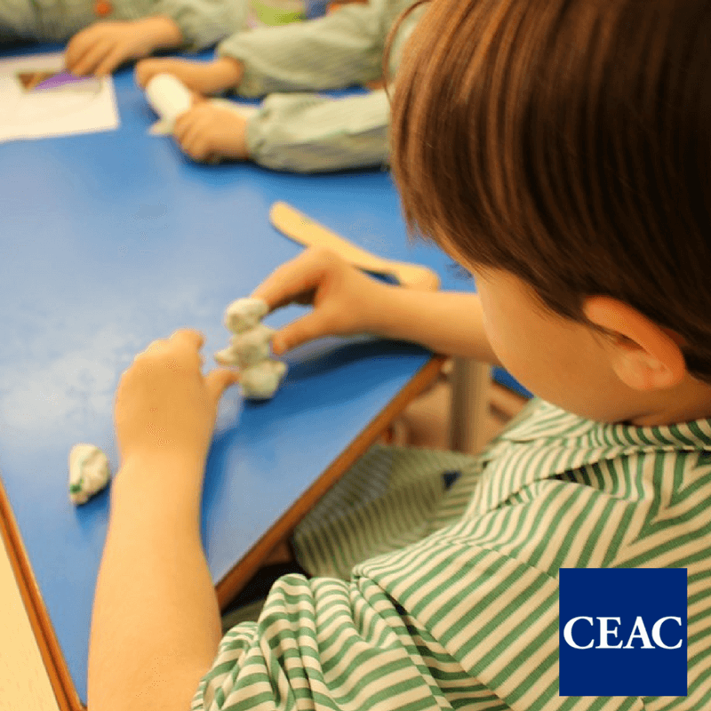 Los 5 ciclos de FP de Grado Superior más demandados - CEAC Empleo